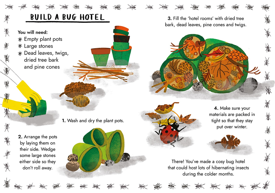 Little Guides to Nature: Hello Bugs - ReadingZone